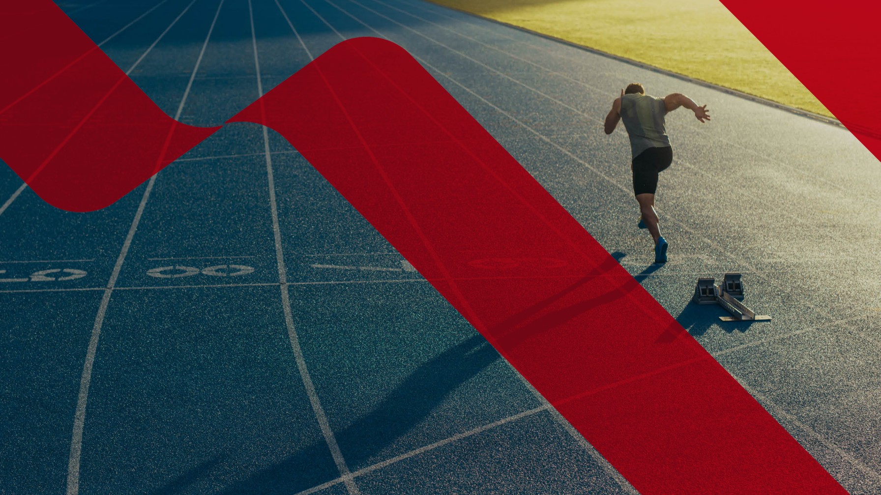 B2B Loyalty, Incentives and Reward Programs | 212f Australia